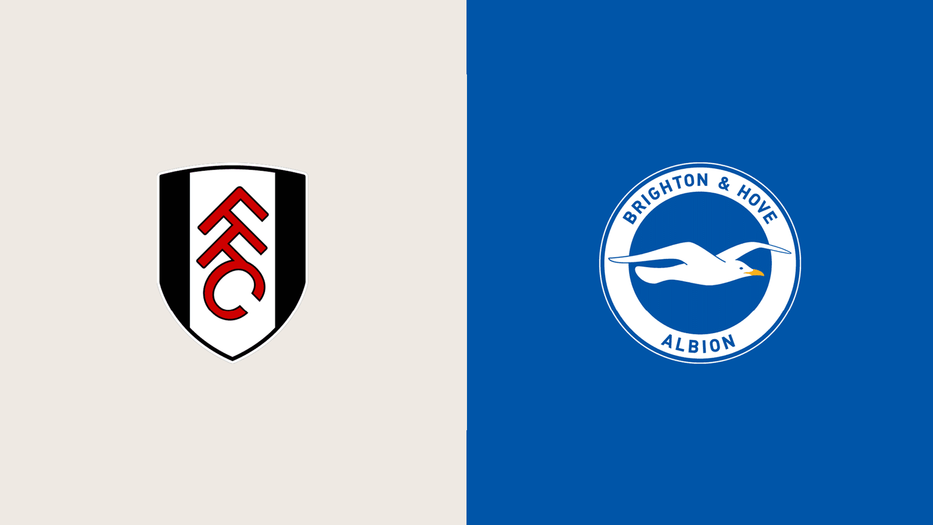 Fulham vs Brighton & Hove Albion | 24 January 2026 | English Premier League